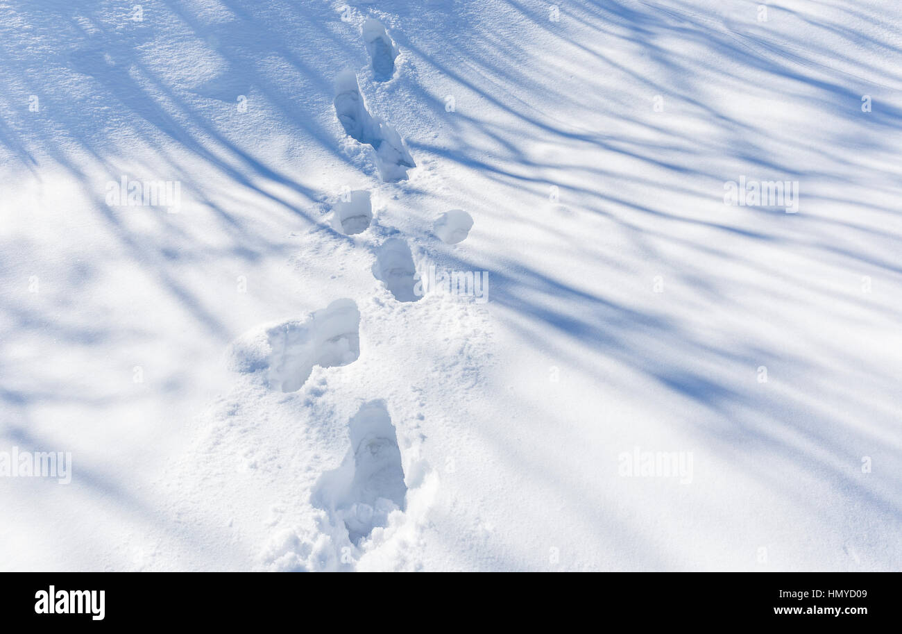 Traces of feet on the fresh snow Stock Photo - Alamy