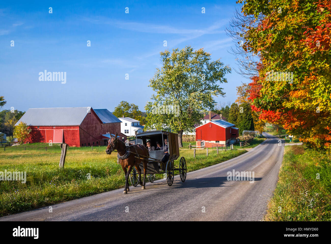 A large Amish farm home with horse and buggy near Berlin, Ohio, USA ...