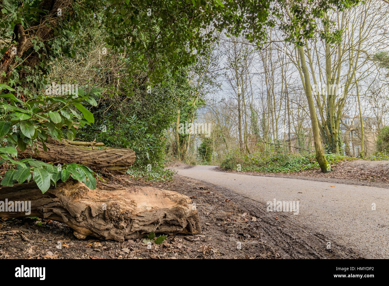old walking path made of tar in a British park during a claudy day ...