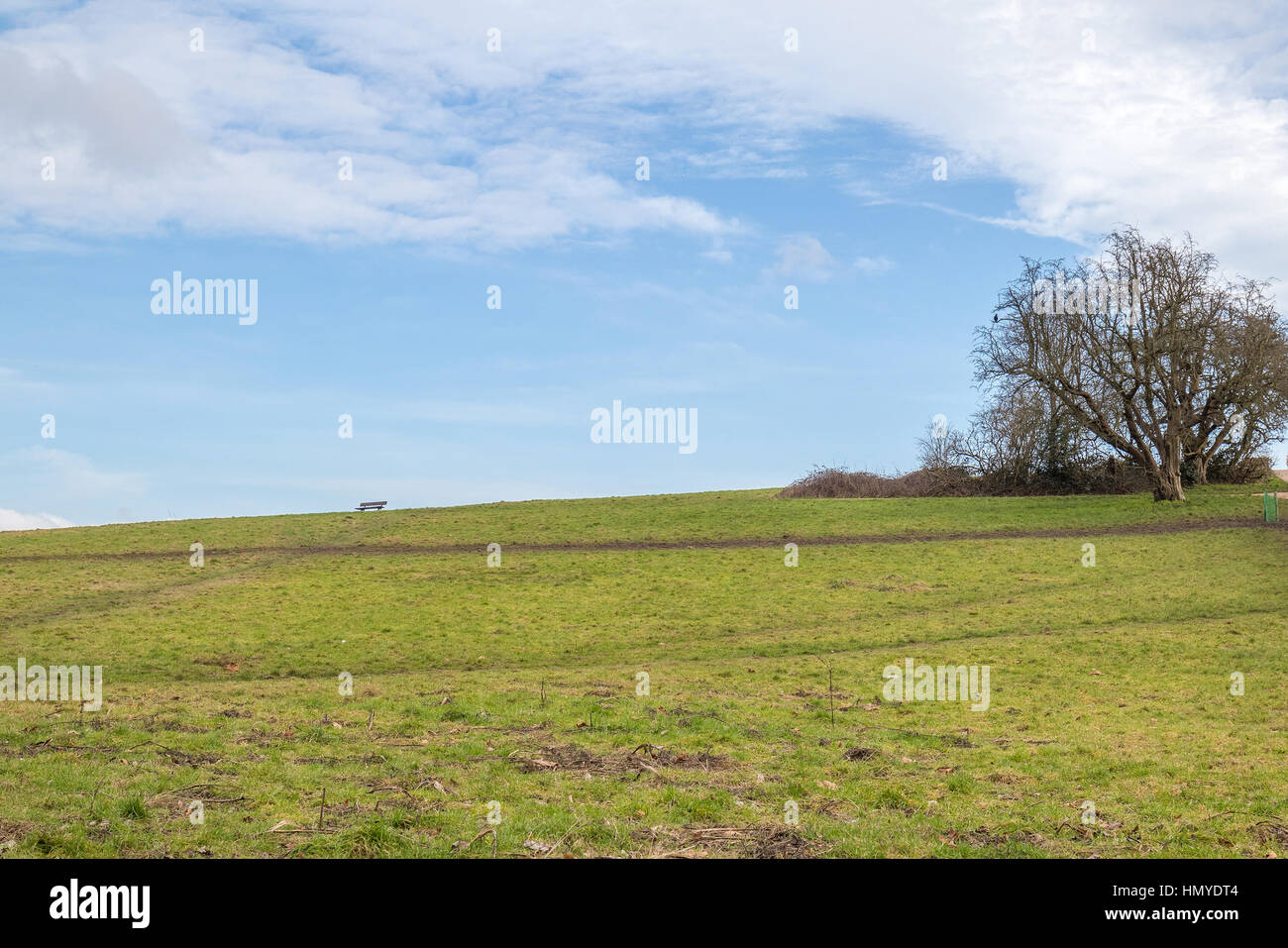 The top of a heath in a British park during winter with just some ...