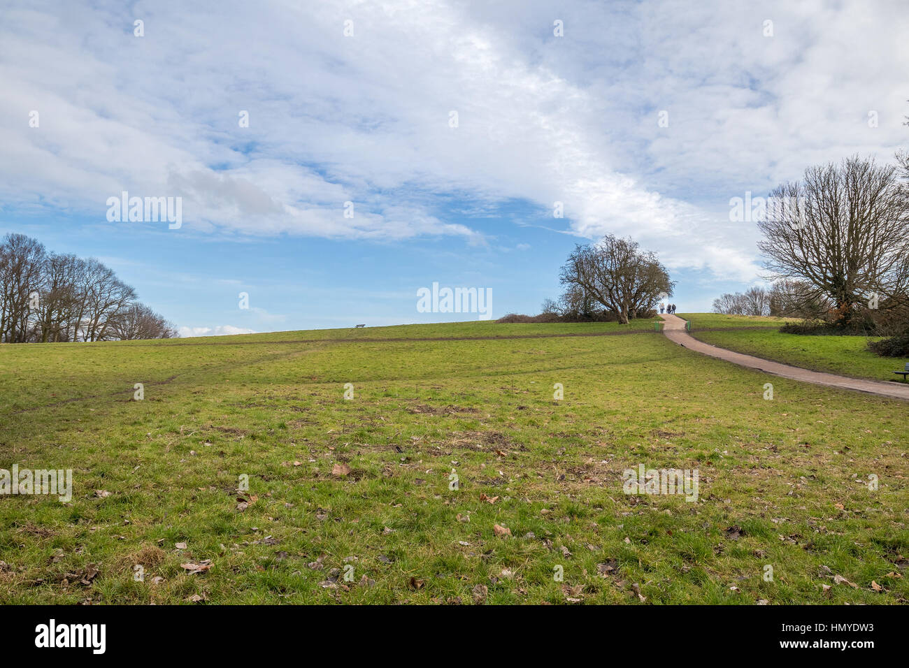 The top of a heath in a British park during winter with just some ...
