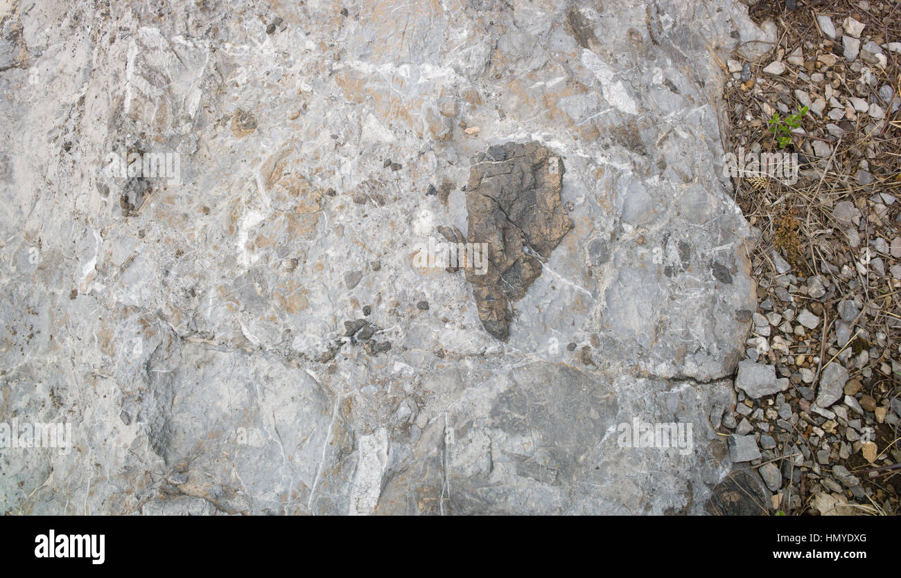 Chert nodule in limestone, Tangshan, Nanjing, Jiangsu, China Stock ...
