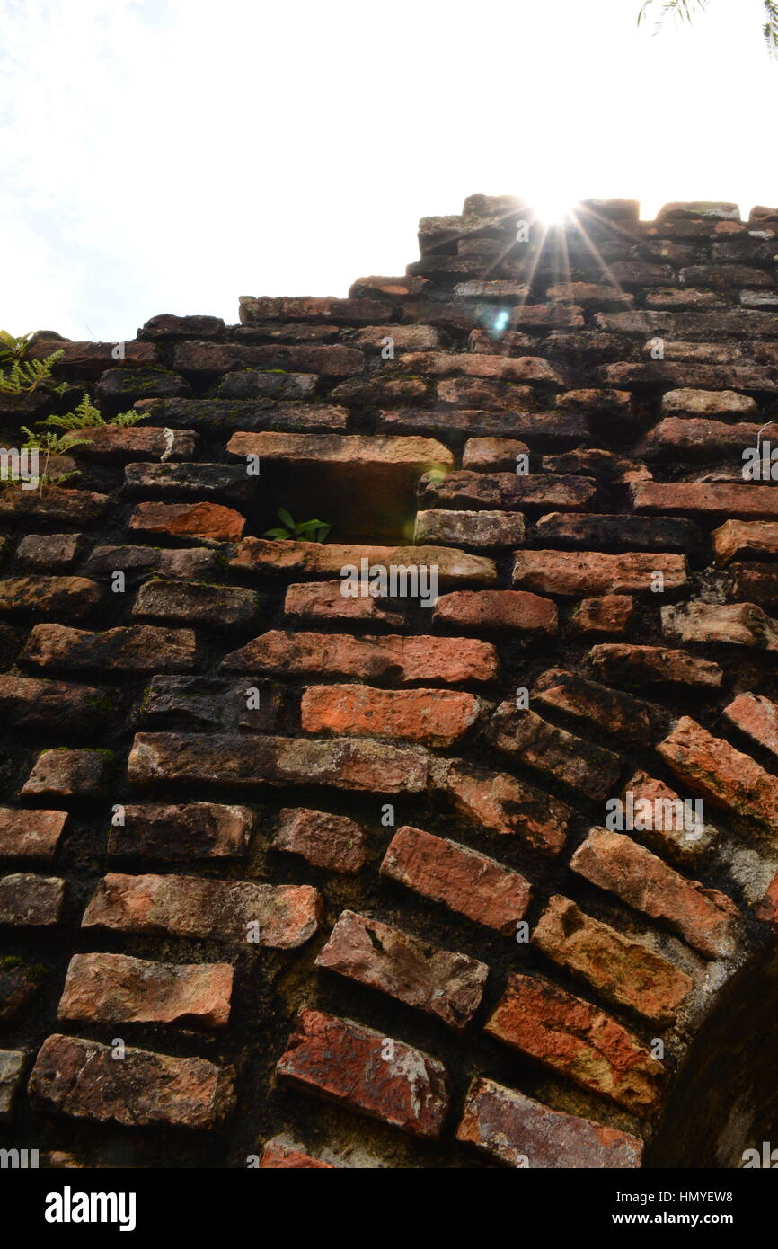 Contrast bricks hi-res stock photography and images - Alamy