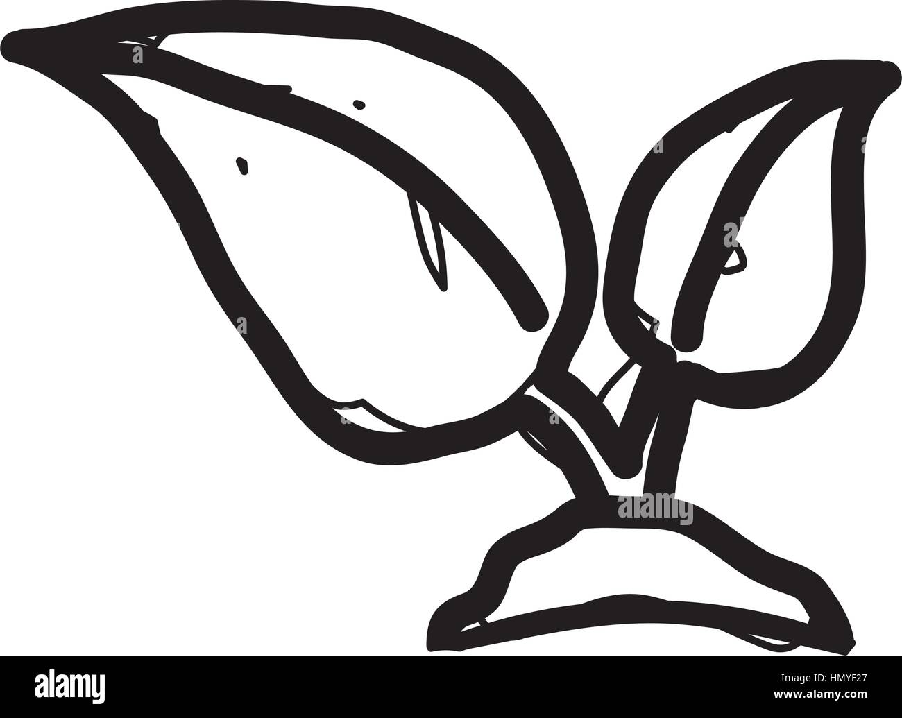 leafs plant isolated icon vector illustration design Stock Vector Image ...