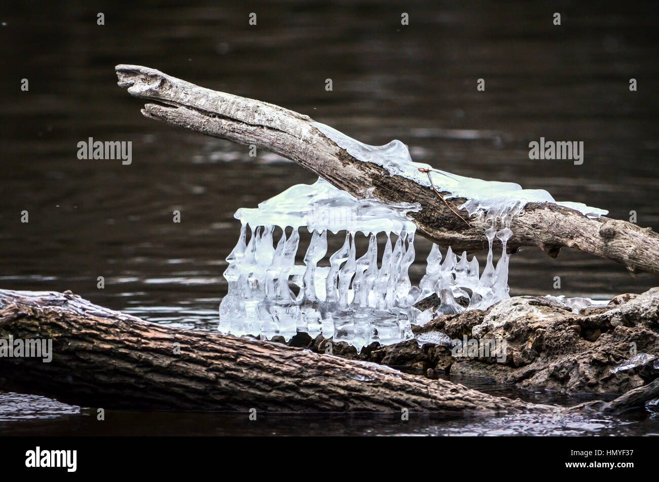 Ice creations hi-res stock photography and images - Alamy