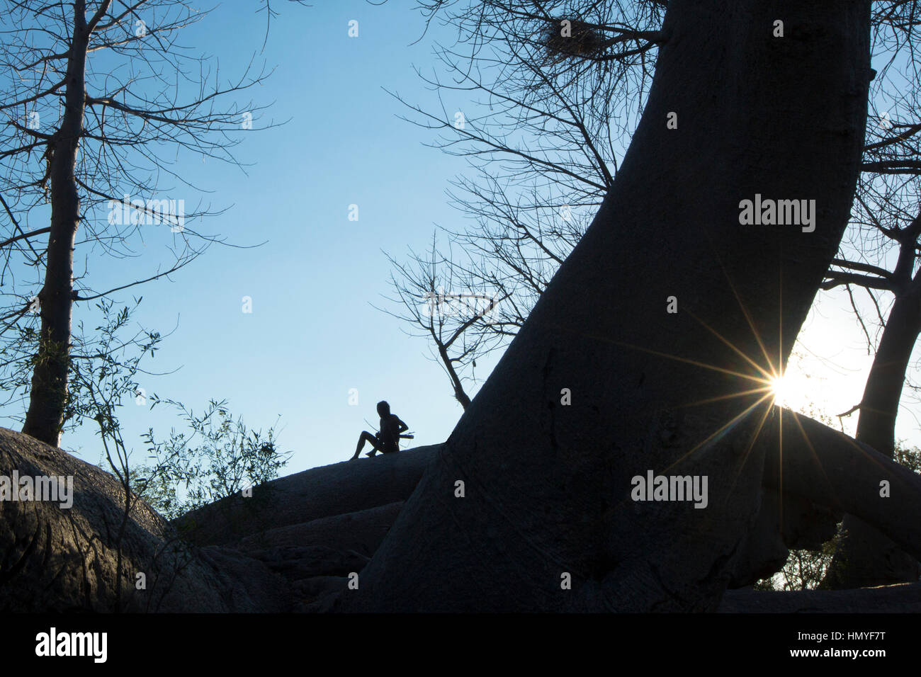 San Bushman standing in a tree Stock Photo - Alamy