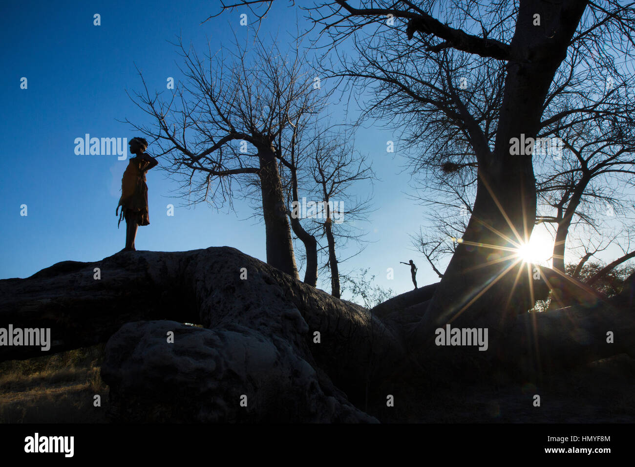 San Bushman standing in a tree Stock Photo - Alamy