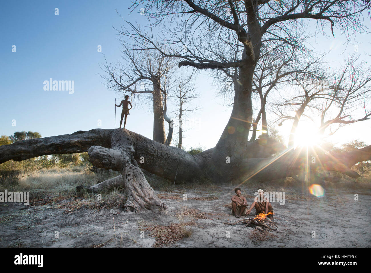 San Bushmen gather around a fire at dusk Stock Photo - Alamy