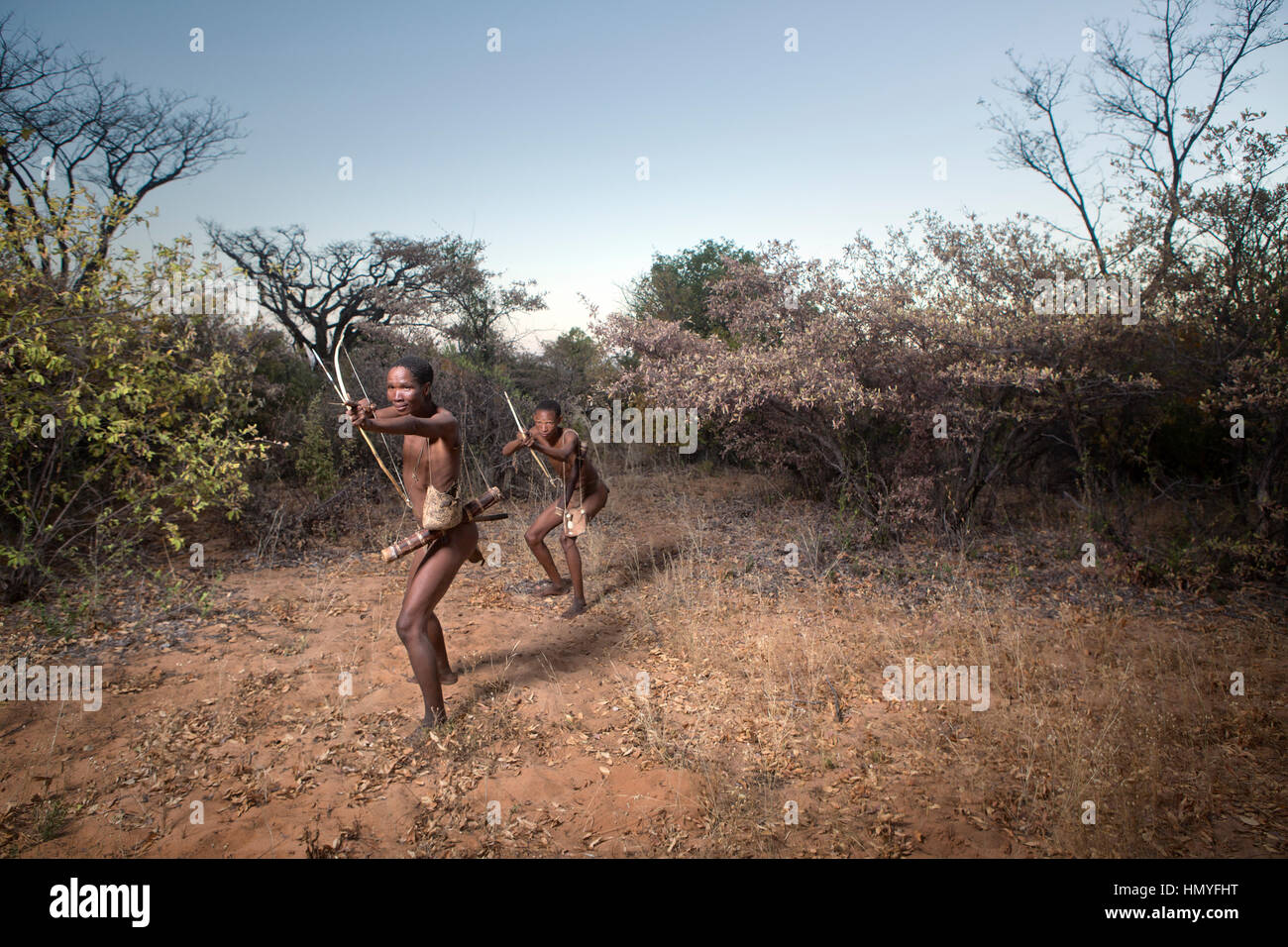 Bushmen hunting bow arrow bushman hi-res stock photography and images ...