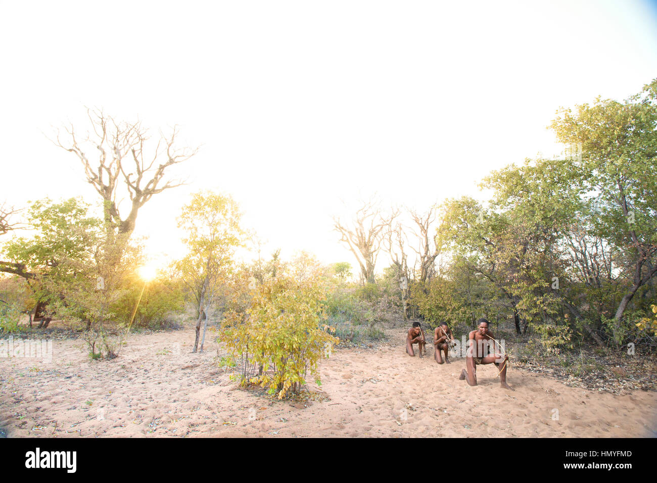 San bushmen hunting in the east of Namibia Stock Photo - Alamy