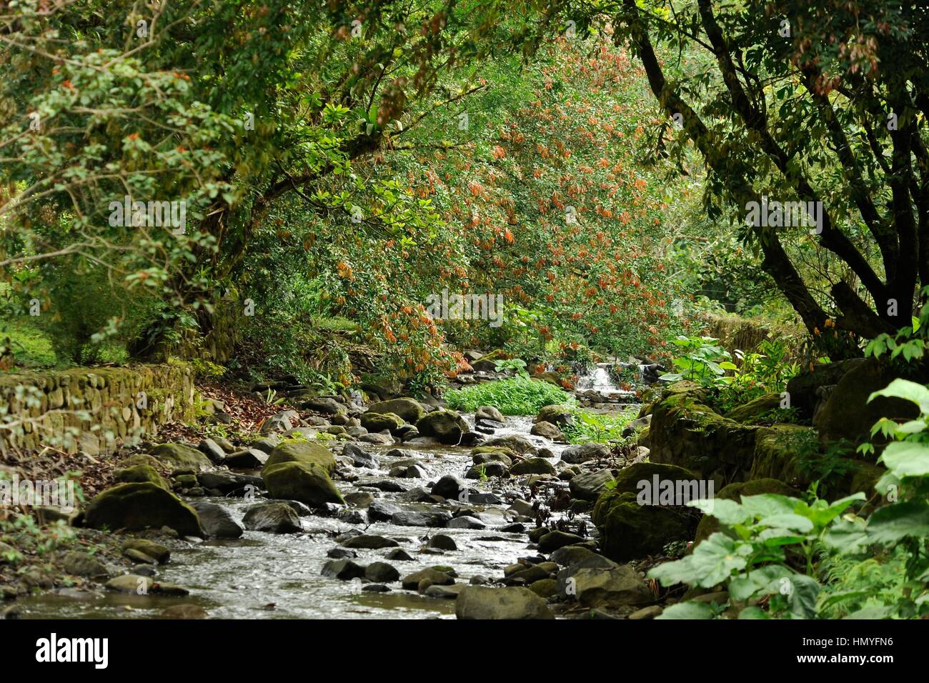 Wisps of fog arise from Cerro Gatal`s dense mountain foliage across the ...