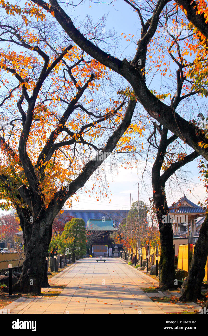 Fusaiji Temple Tachikawa city Tokyo Japan Stock Photo - Alamy