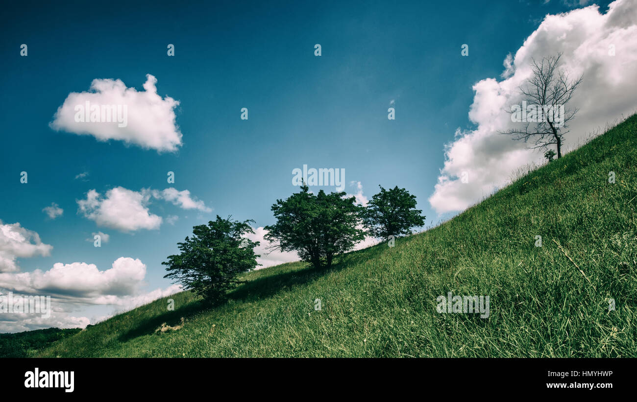 trees and hill landscape in the countryside Stock Photo - Alamy