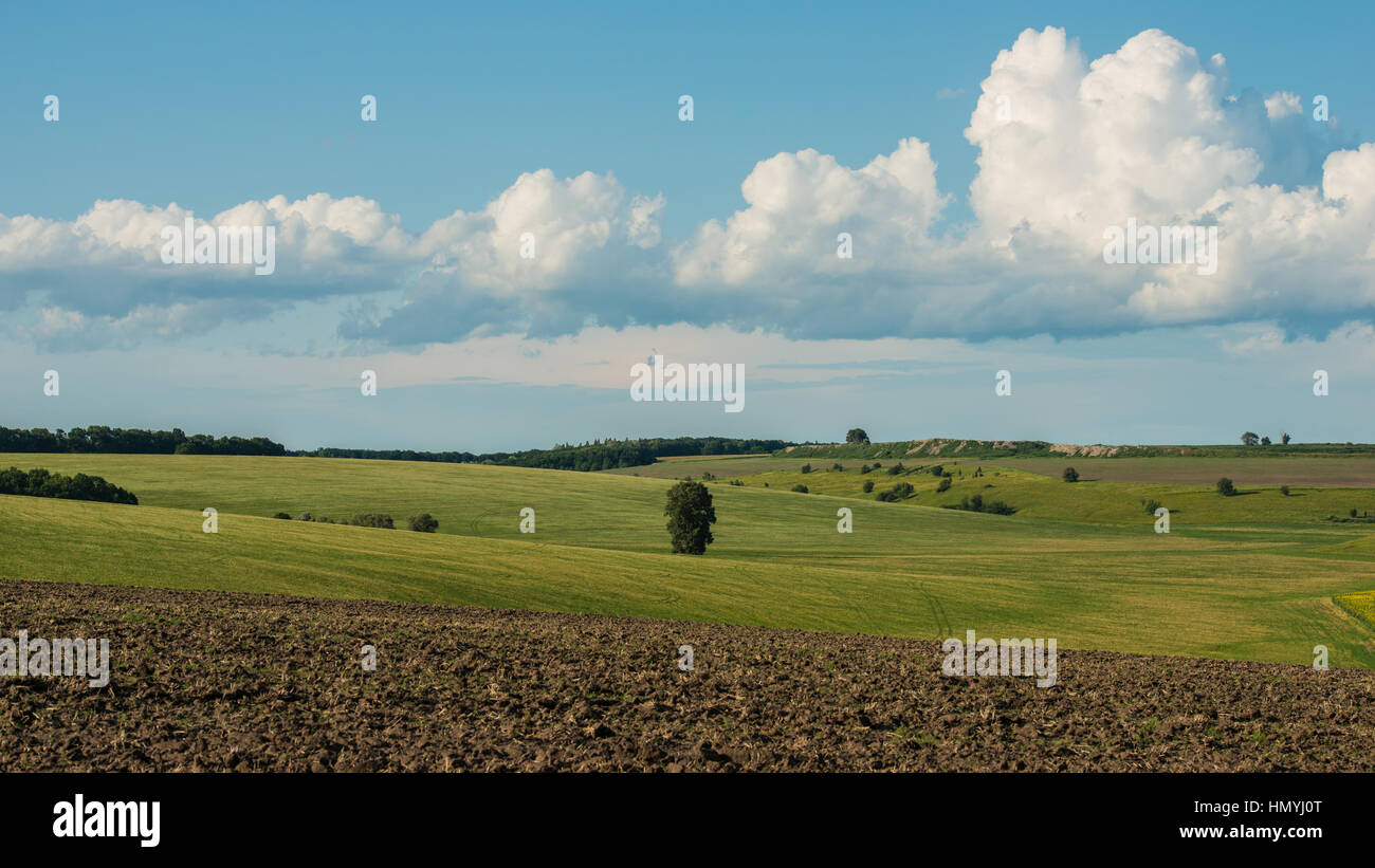 Ukraine steppe trees hi-res stock photography and images - Alamy