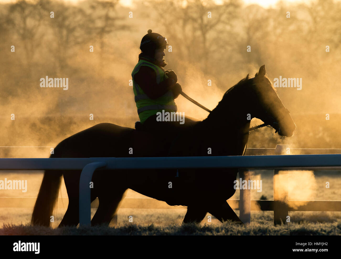 Steaming horse hi-res stock photography and images - Alamy