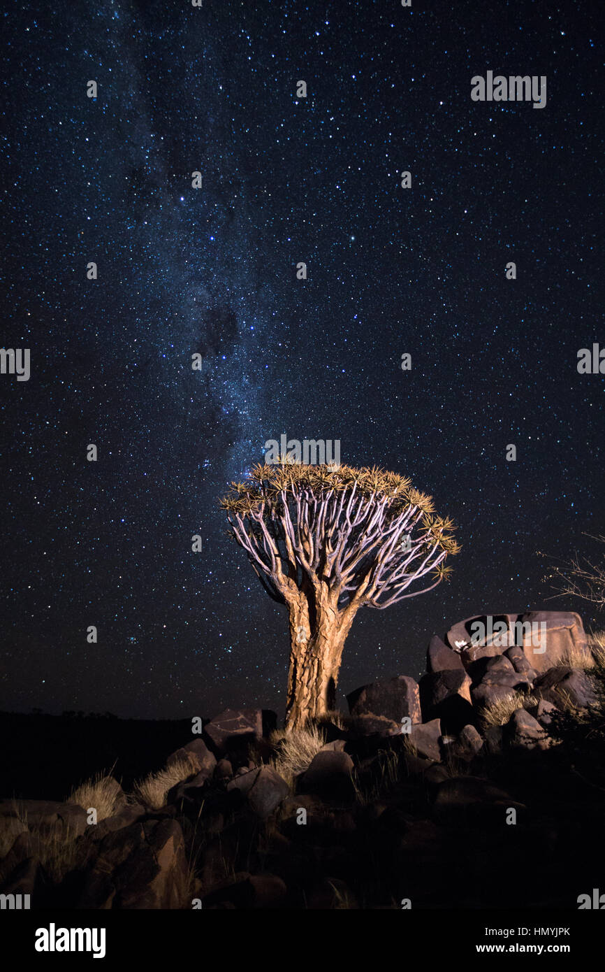 Tree under the Milky Way Stock Photo - Alamy