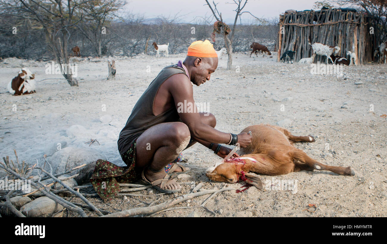 Dead goat hi-res stock photography and images - Alamy