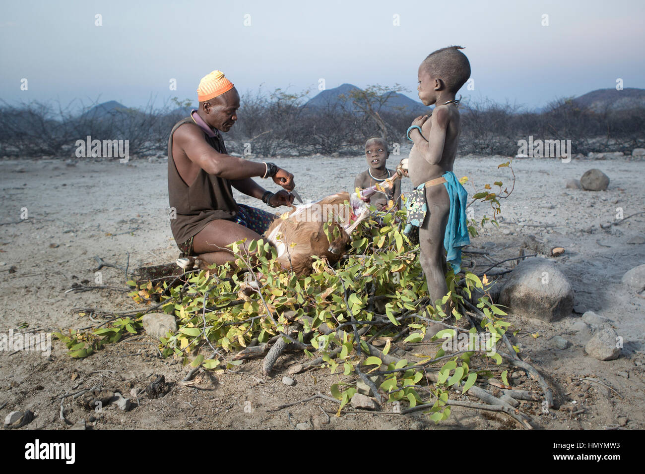 Dead goat hi-res stock photography and images - Alamy