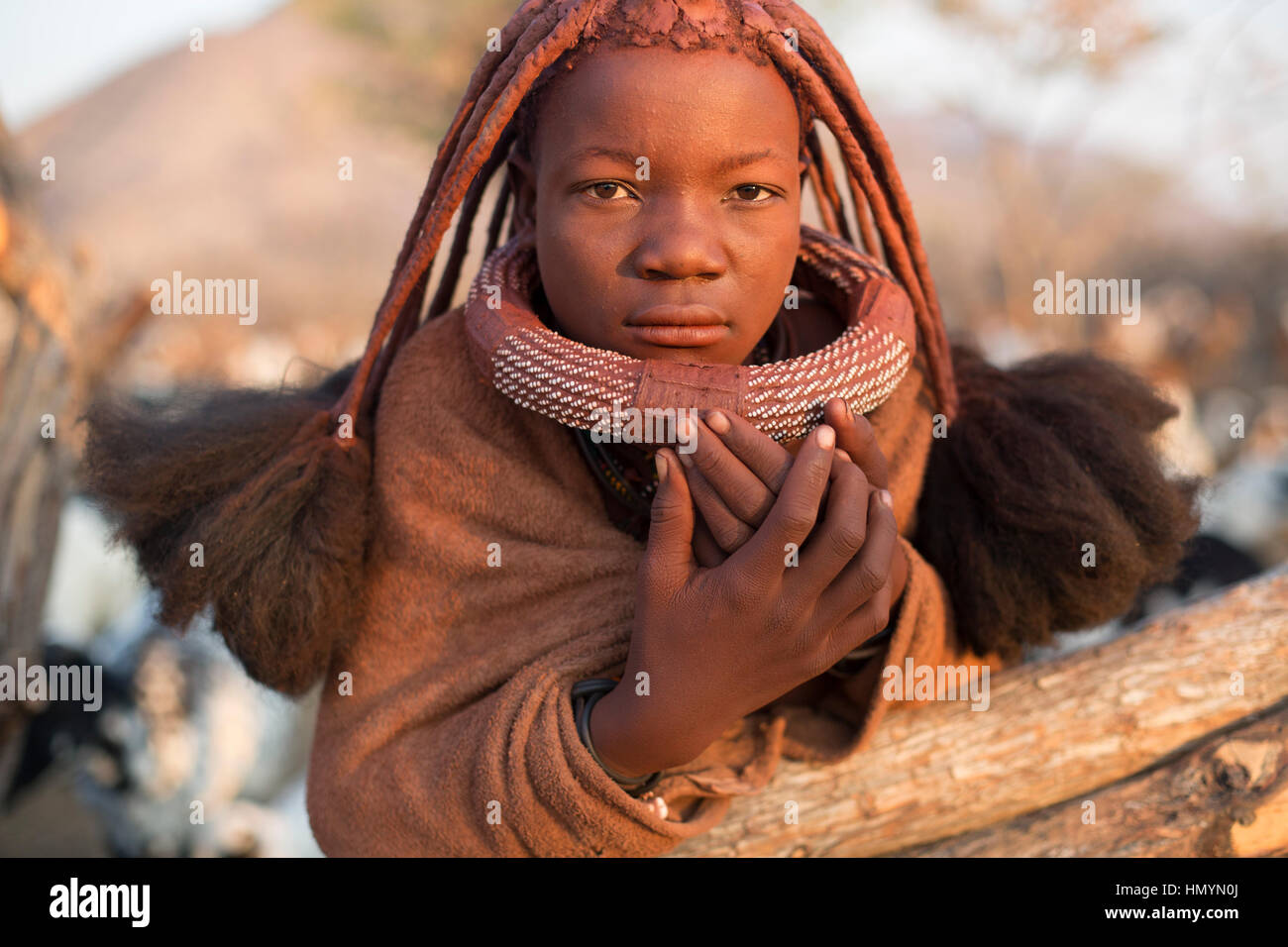 Shepard Boy High Resolution Stock Photography and Images - Alamy