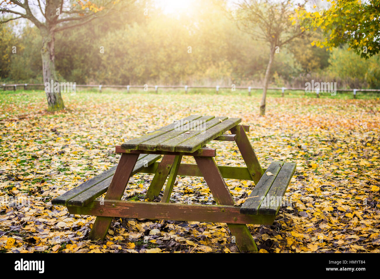 Picnic table in the forest hi-res stock photography and images - Alamy