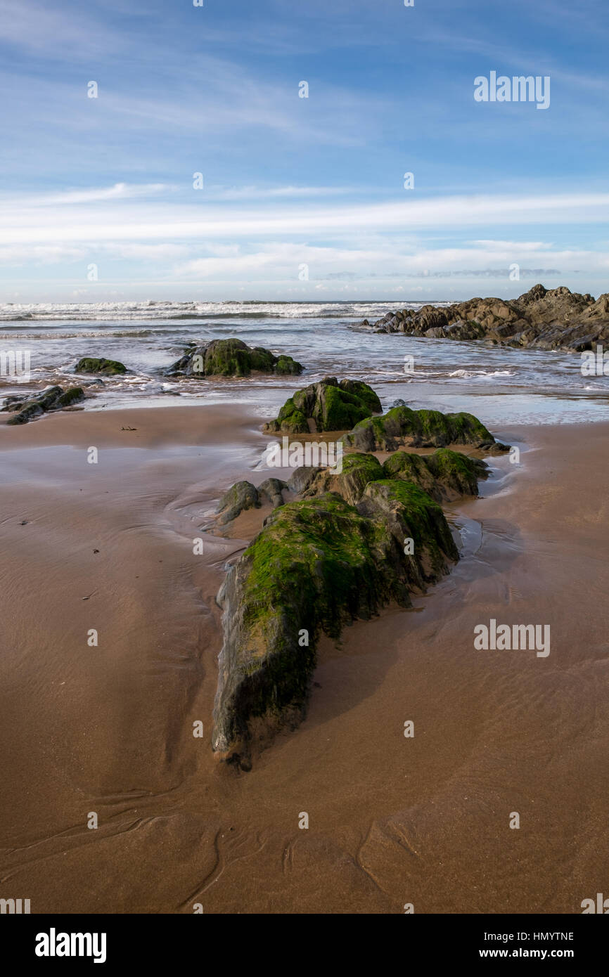 Devonian rocks hi-res stock photography and images - Alamy