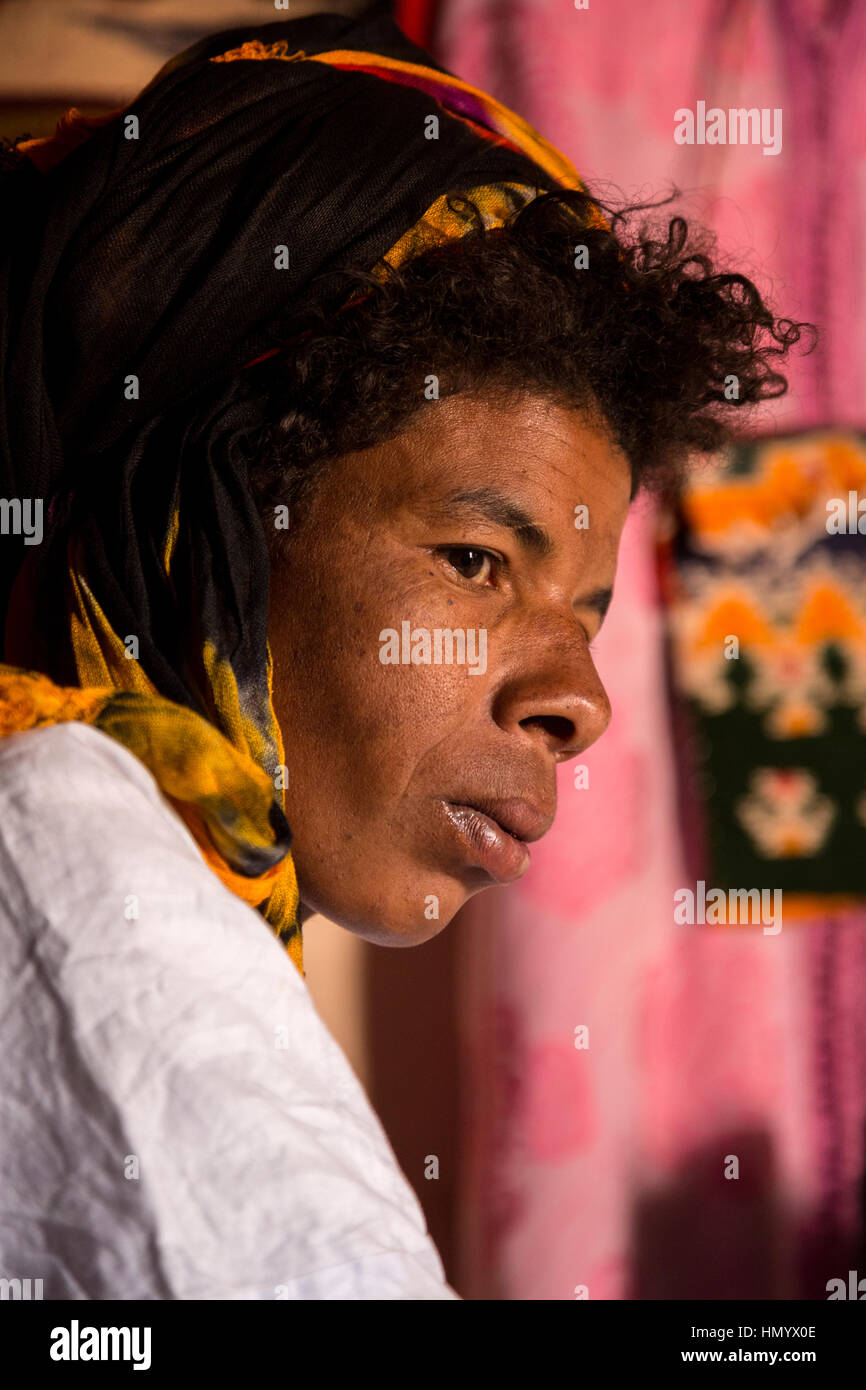 North African People Race