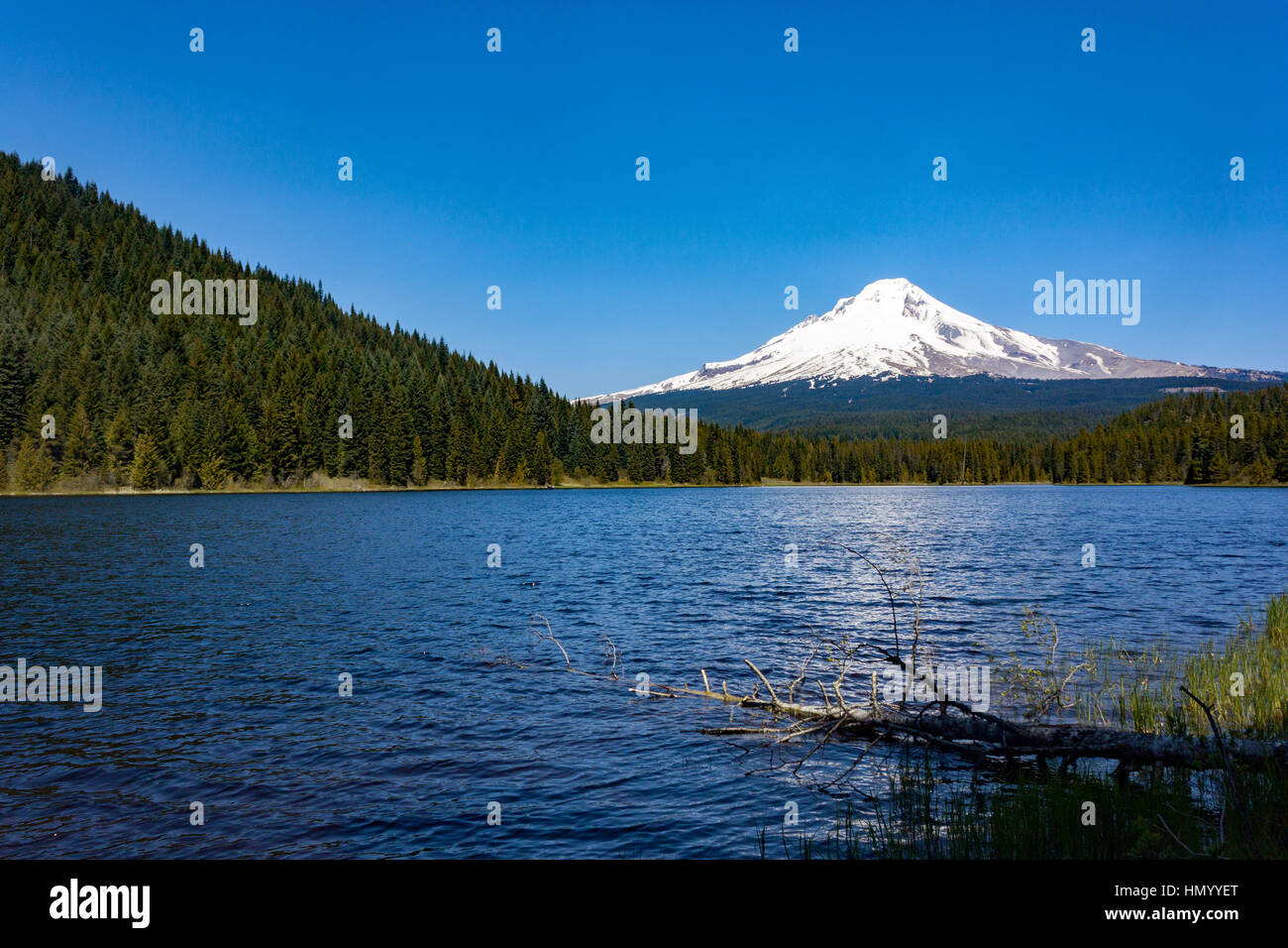 Mt. Hood from Trillium Lake near Portland, Oregon Stock Photo - Alamy
