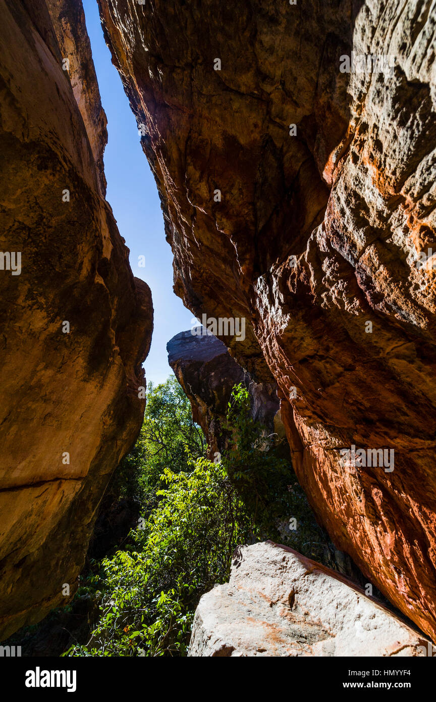 Ancient Aboriginal Gwion Gwion rock paintings also know as Bradshaw ...