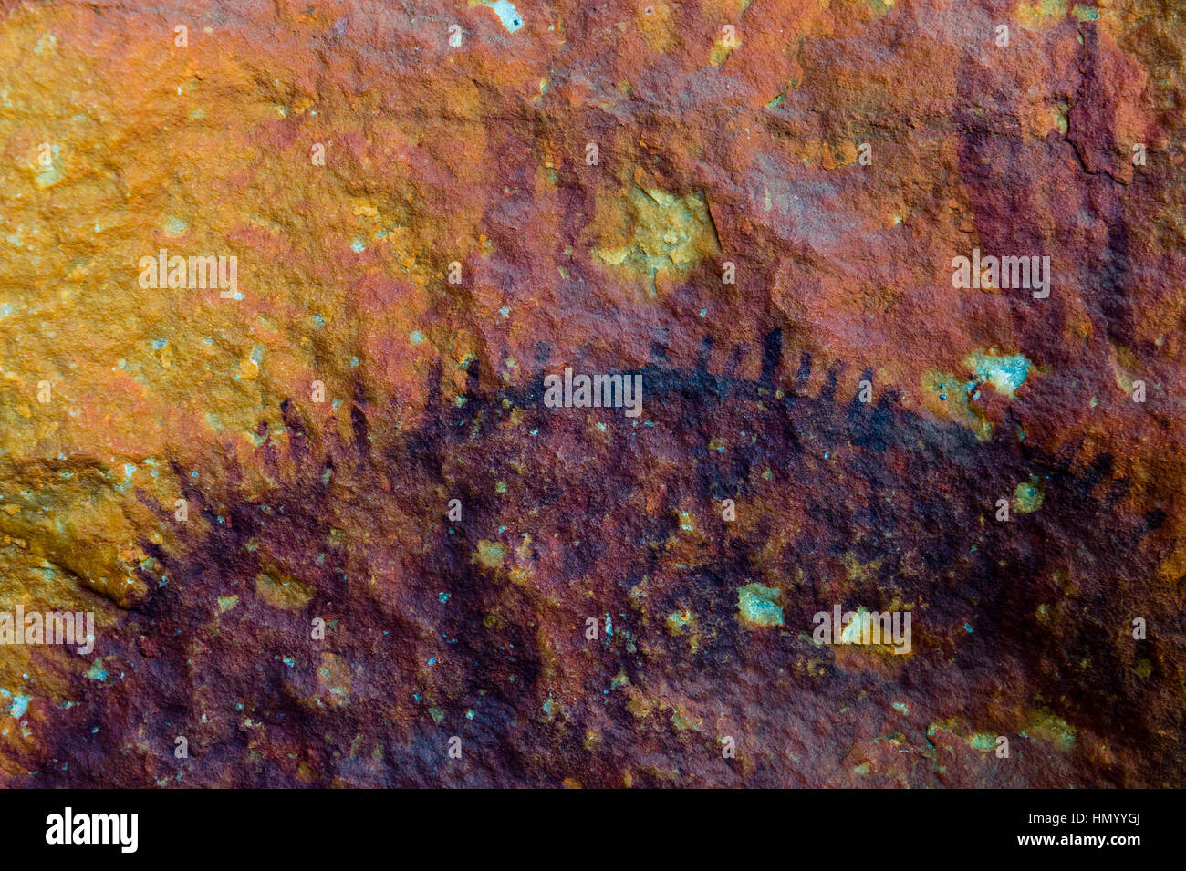 Ancient Aboriginal Gwion Gwion rock paintings also know as Bradshaw ...