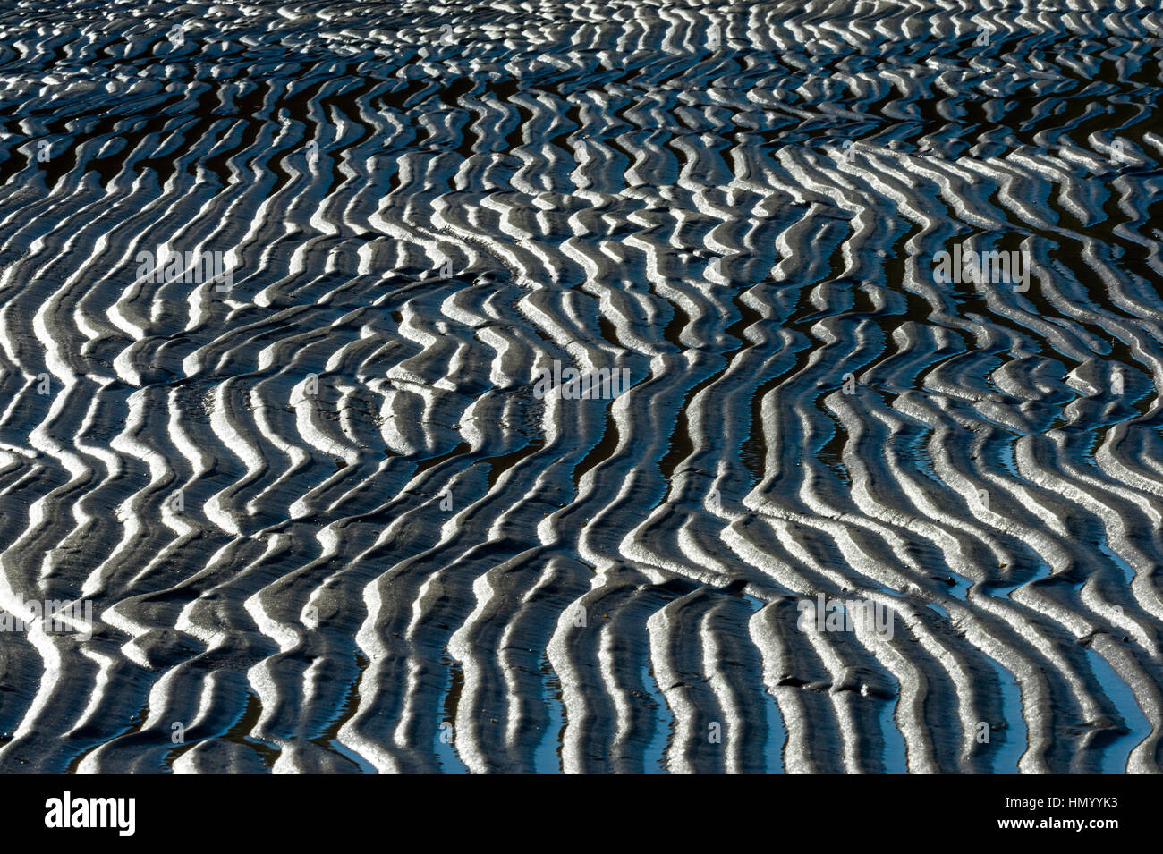 Beach Patterns