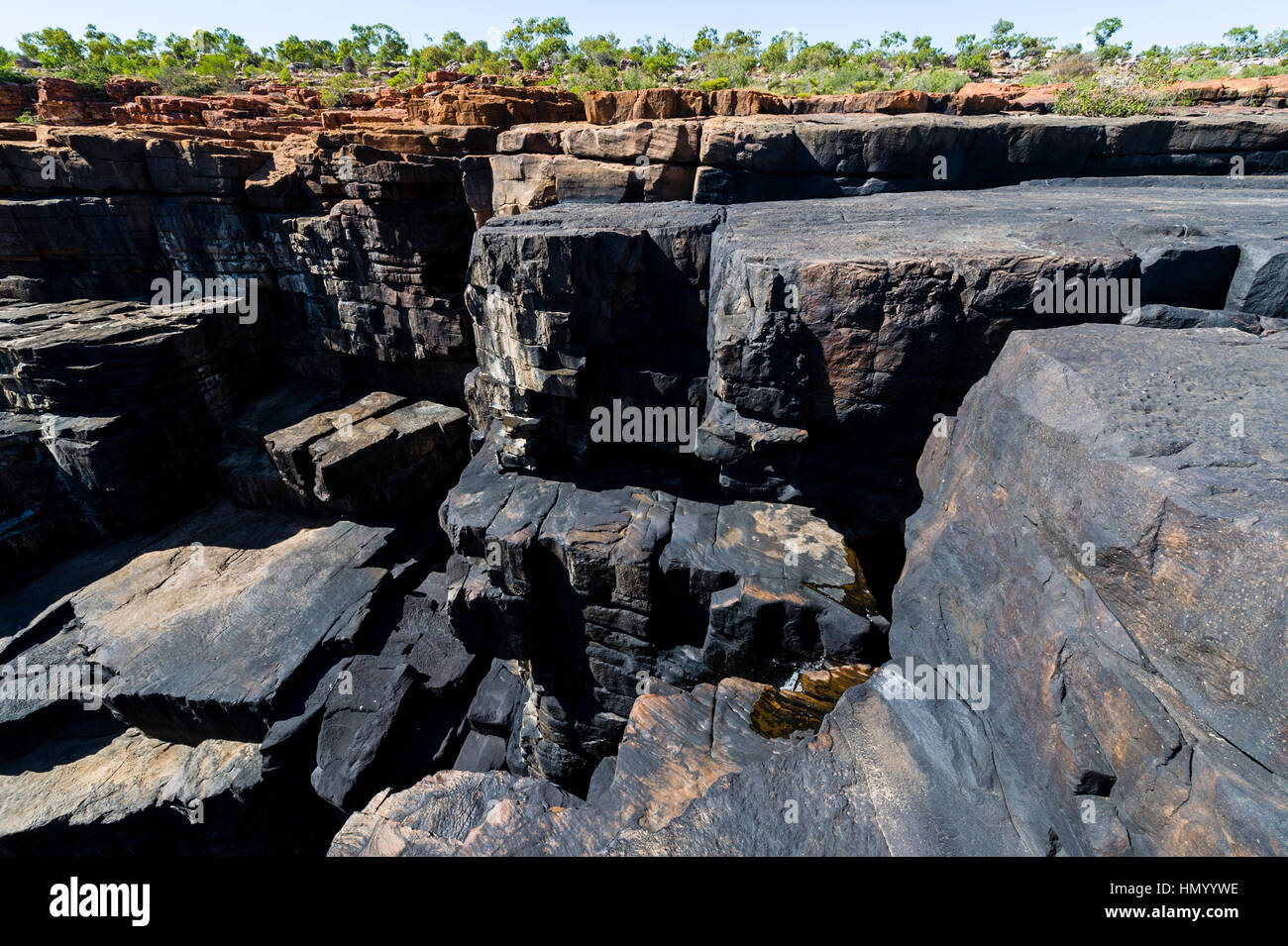 Cyanobacteria stains on river rocks exposed to wet season flooding ...