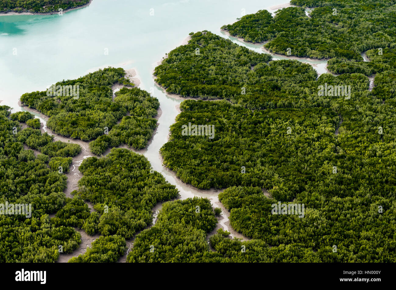 An aerial view of river tidal inlets winding their way through mangrove ...
