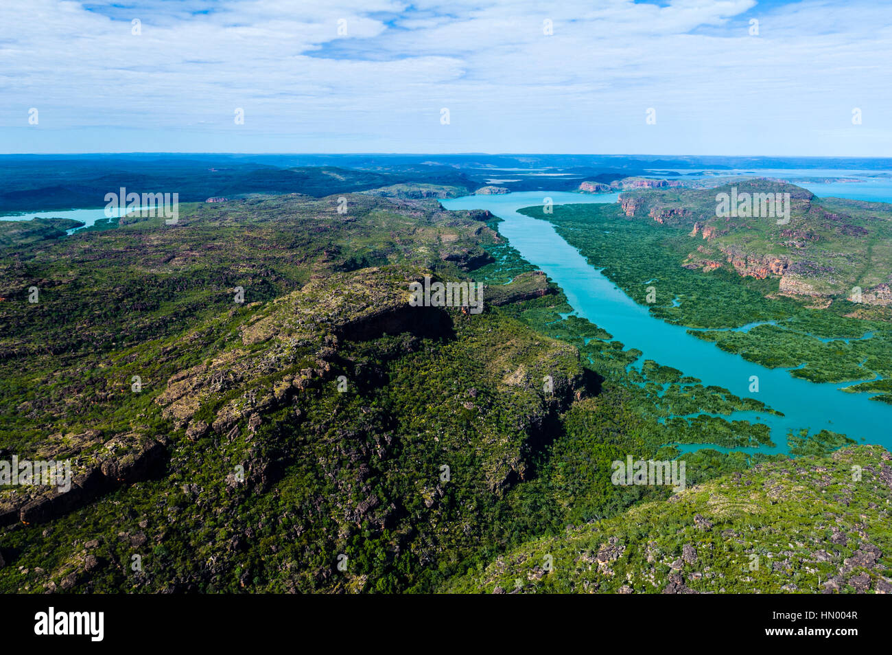 An aerial view of river tidal inlets winding their way through mangrove ...