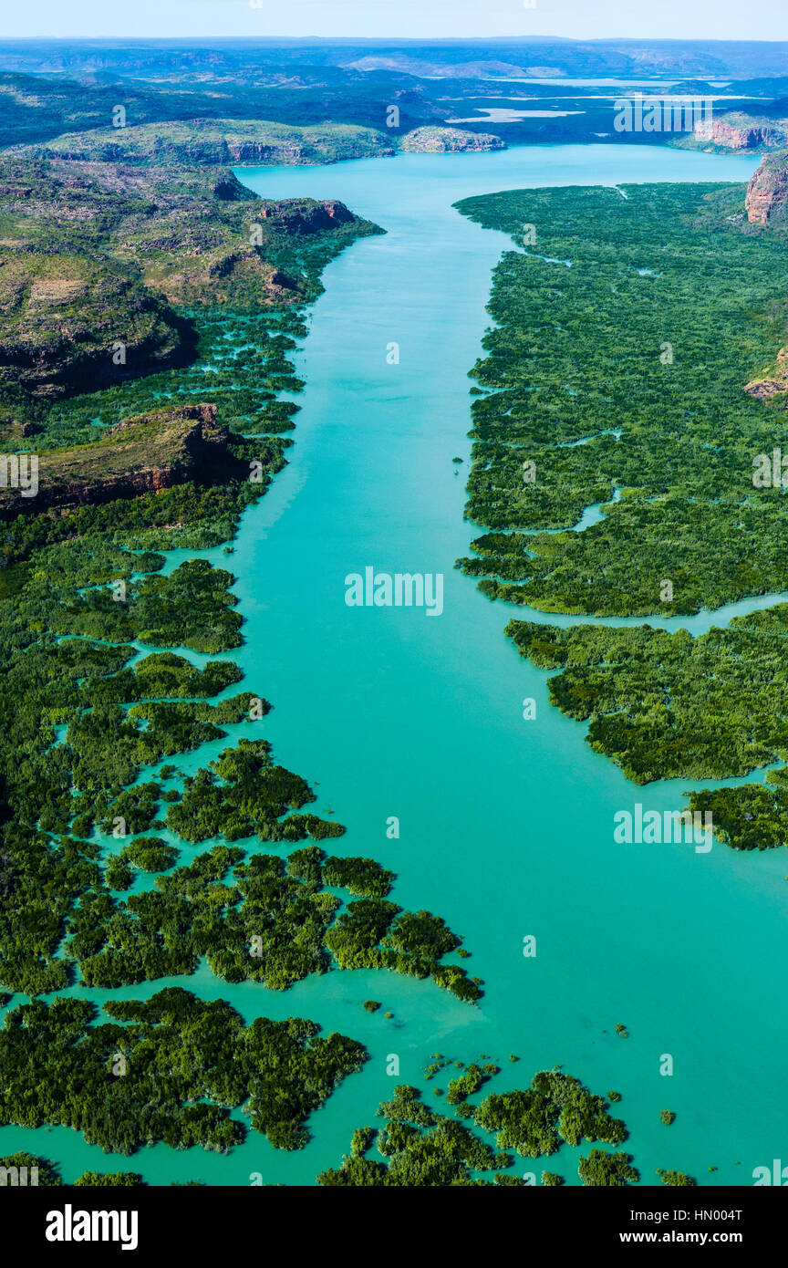 An aerial view of river tidal inlets winding their way through mangrove ...