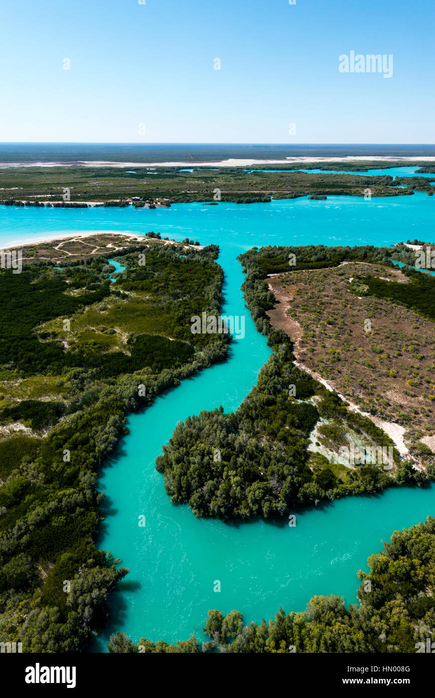 Mangroves broome mangrove hi-res stock photography and images - Alamy