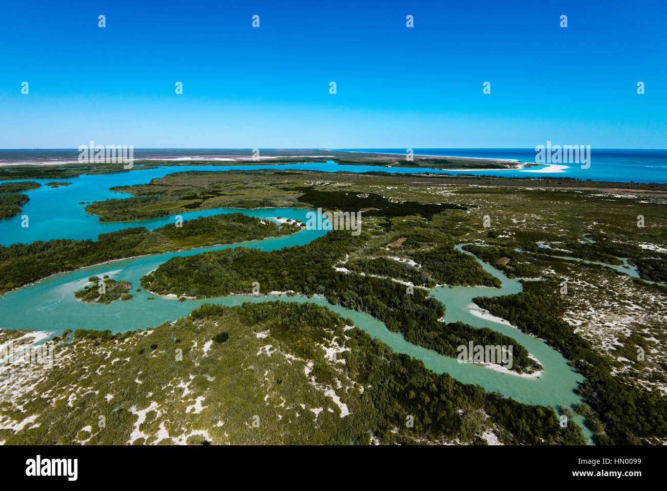 A turquoise tidal river winding it's way through mangroves in a tidal ...