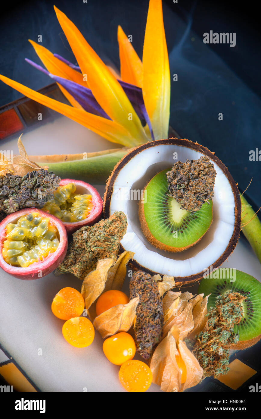Detail of assorted dried cannabis buds with fresh tropical fruit ...