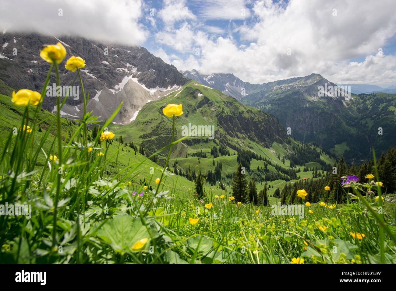 High up in the mountains hi-res stock photography and images - Alamy