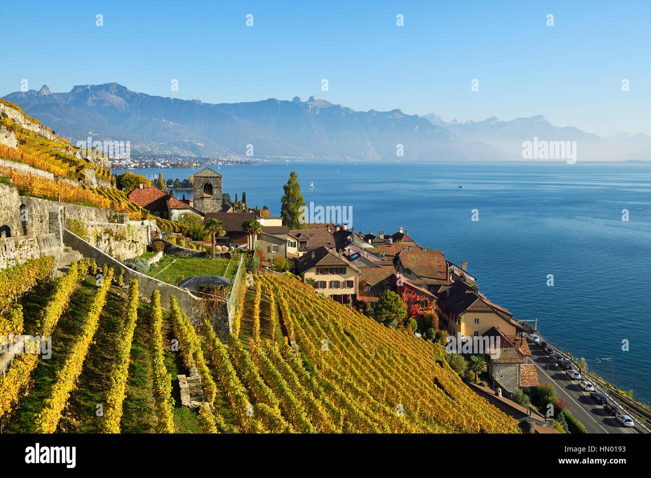 Vineyards in autumn, view of Lake Geneva and winegrowing village Saint ...