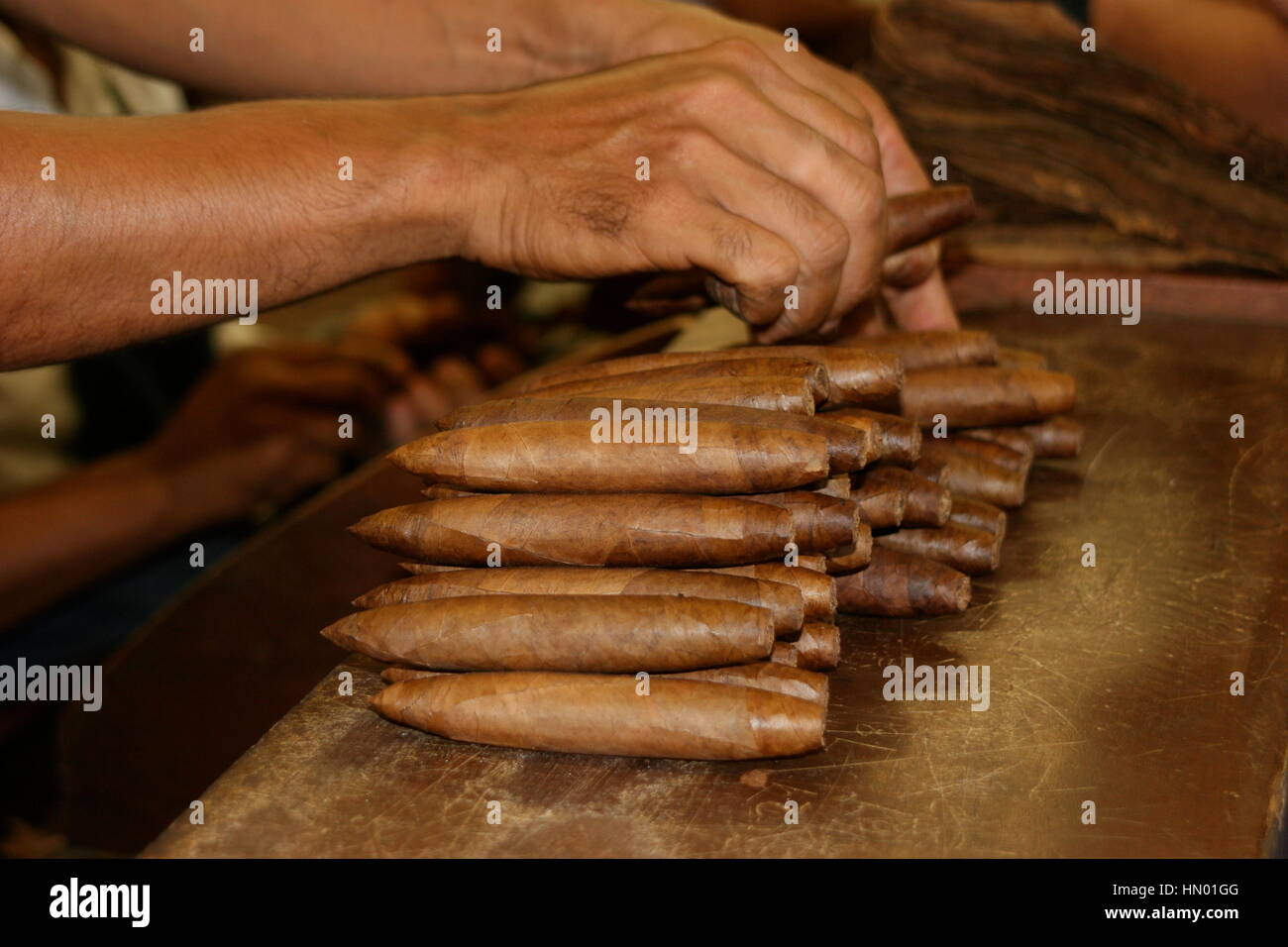 stacking rolled cigars Stock Photo - Alamy