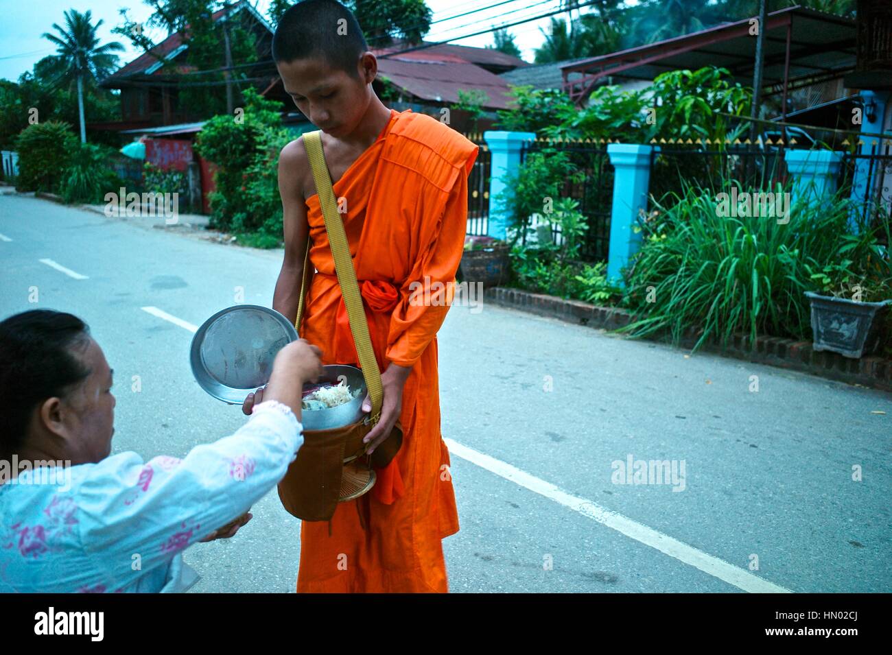 Early morning alms giving to the monks in Luang Prabang (Laos), known ...