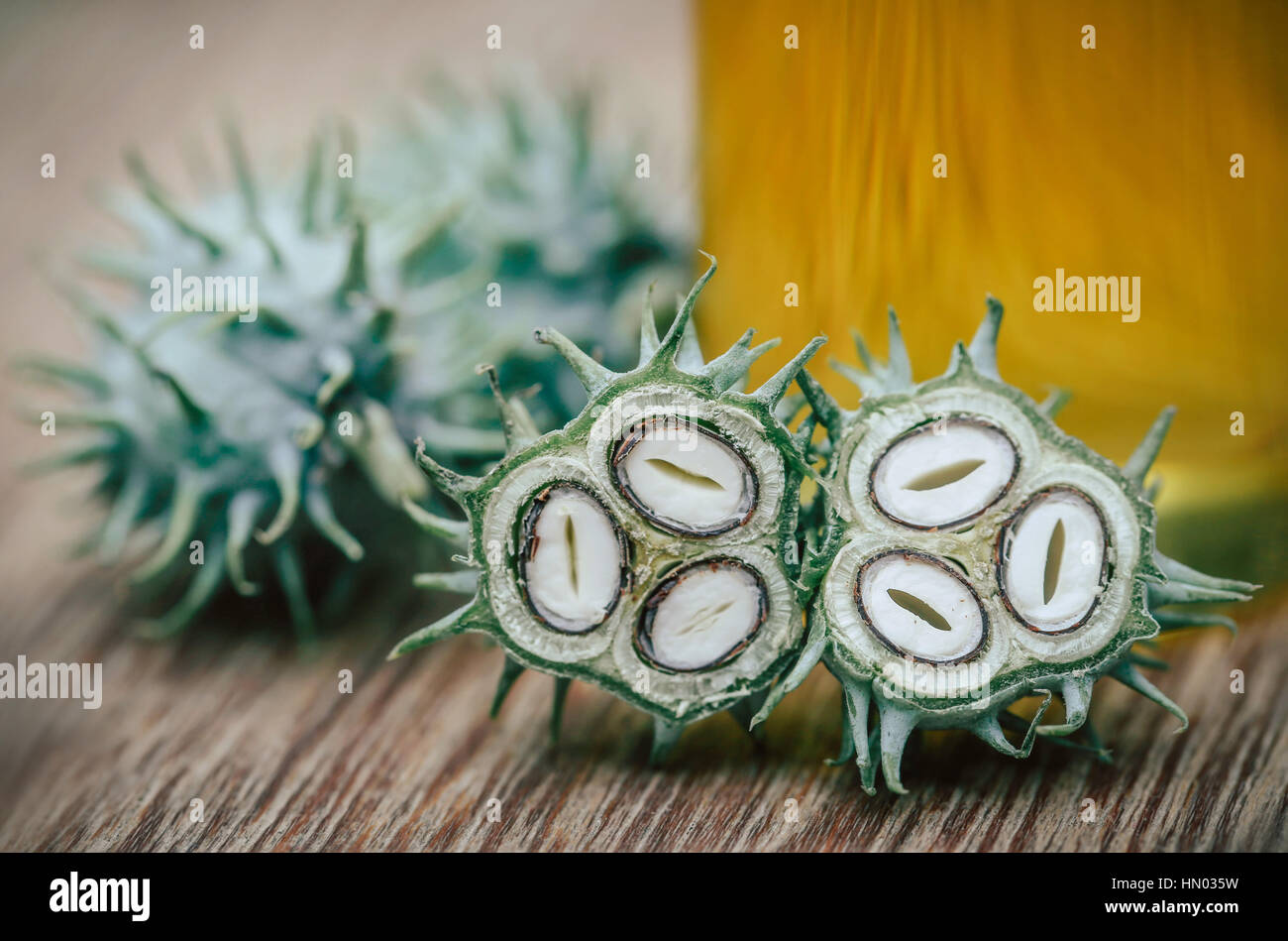 Green castor beans with essential oil Stock Photo - Alamy