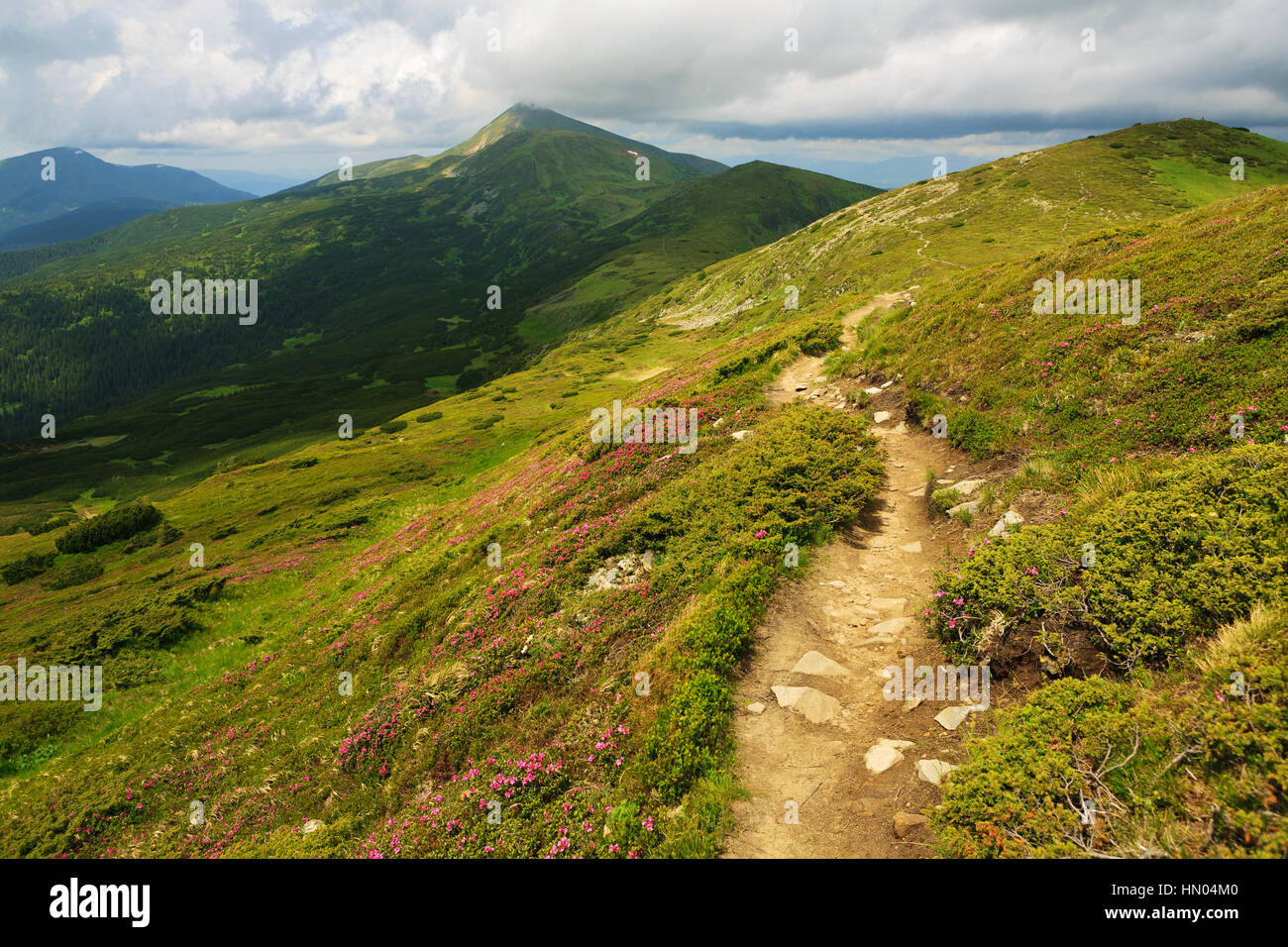 Beautiful views of Hoverla, the highest peak of the Ukrainian ...