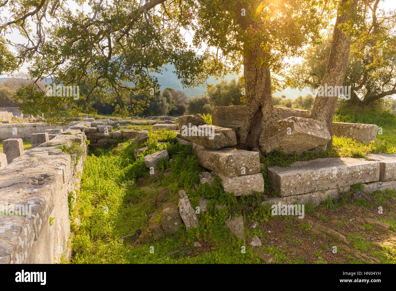 ruins of ancient city of Messena, Peloponnese Stock Photo - Alamy