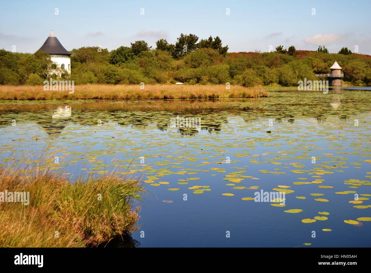 Lily boat hi-res stock photography and images - Alamy