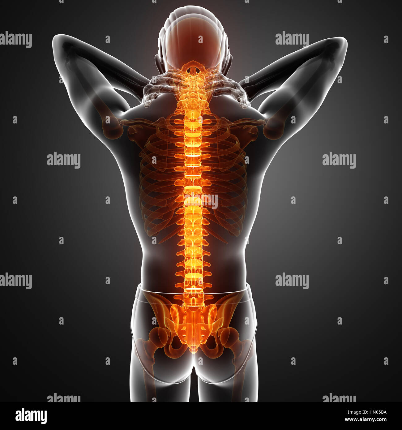 3D Illustration of male Feeling the back pain Stock Photo - Alamy