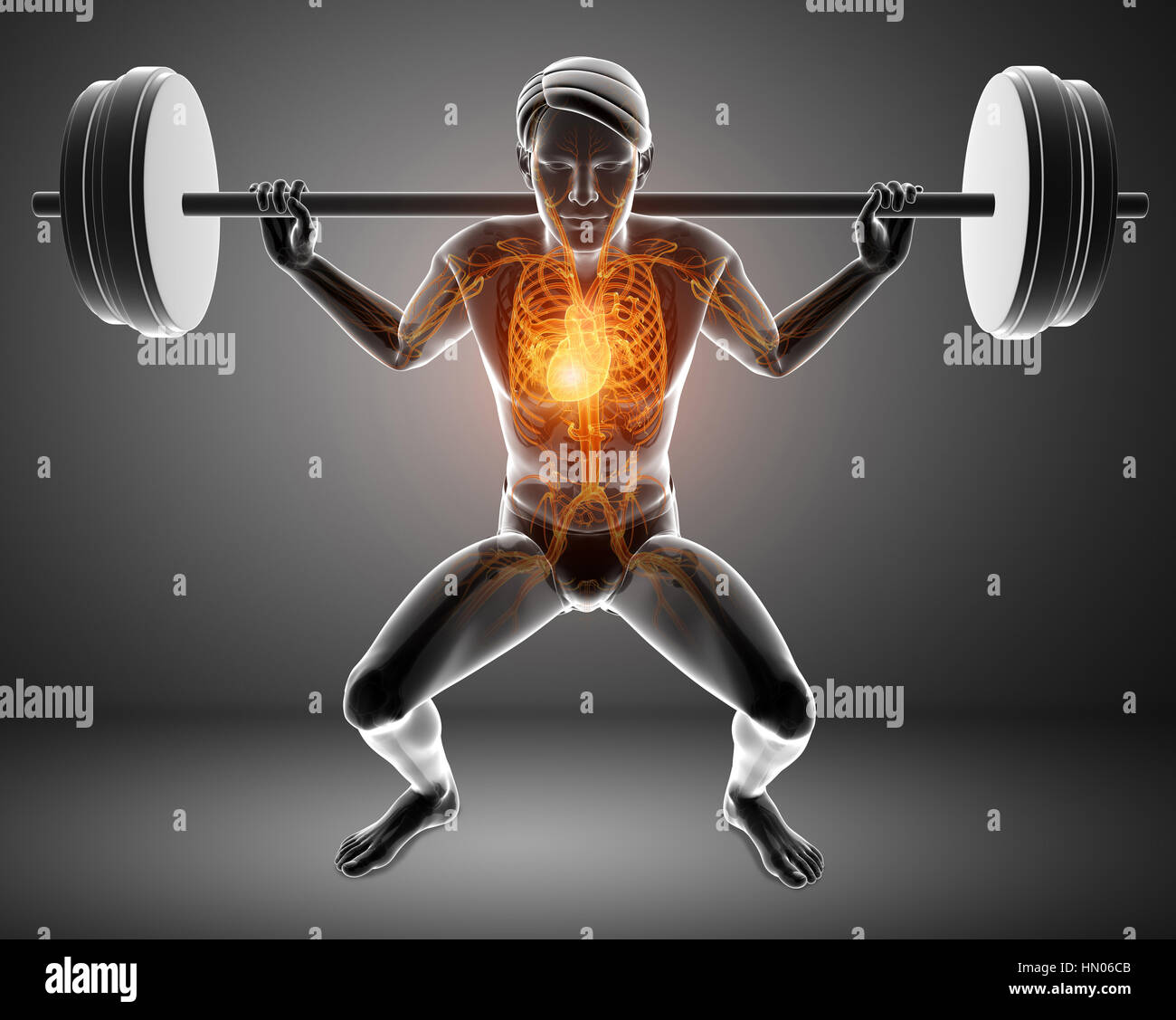 3d Illustration of Male Heart Stock Photo - Alamy