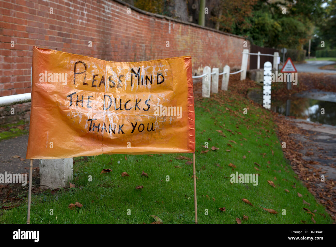 Please do not feed the ducks sign hi-res stock photography and images ...