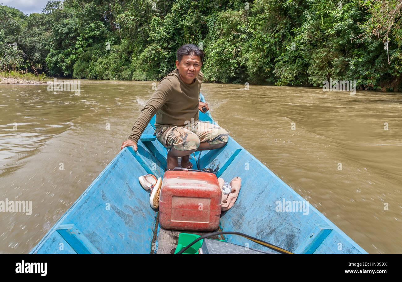 Iban man steering his longboat up the river on Borneo, Sarawak ...