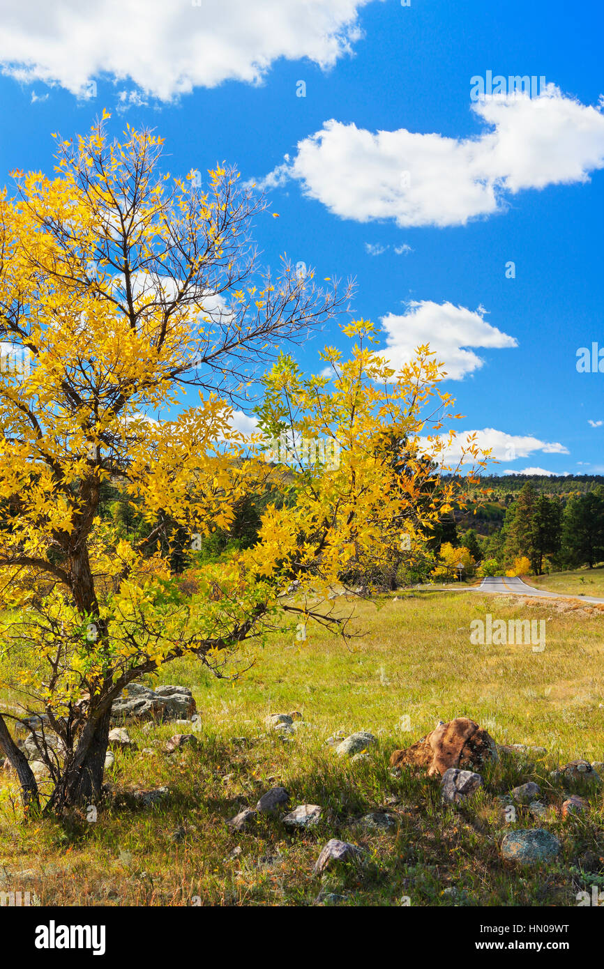 Iron Mountain Road, Peter Norbeck Scenic Highway, Keystone, South ...